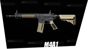 The Real Assault Rifles of Call of Duty: Modern Warfare - Beginner Gunner