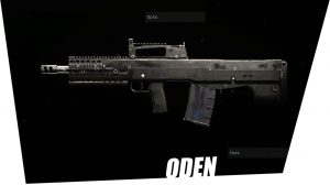 The Real Assault Rifles of Call of Duty: Modern Warfare - Beginner Gunner