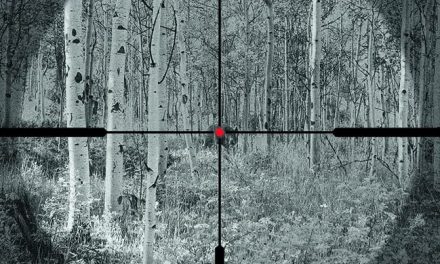 Top 8 Best Night Vision Rifle Scopes - Beginner Gunner